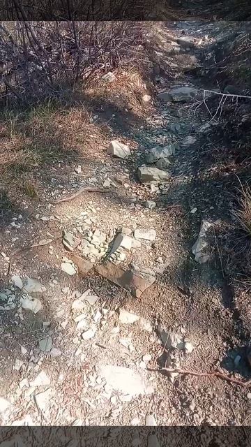 Дорога к Поклонному кресту