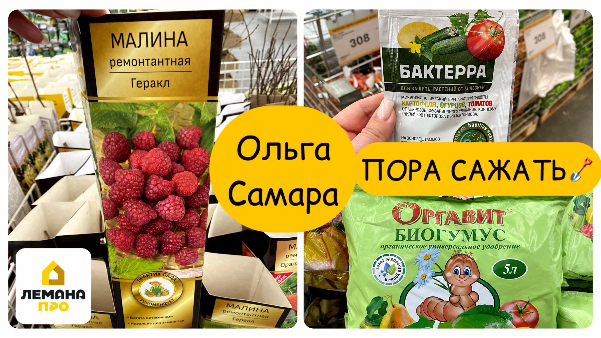 🔥 ЛУЧШЕ, ЧЕМ В ПИТОМНИКЕ? Обзор Лемана ПРО: всё, что завезли в марте🌷(саженцы, хосты, удобрения)🪴