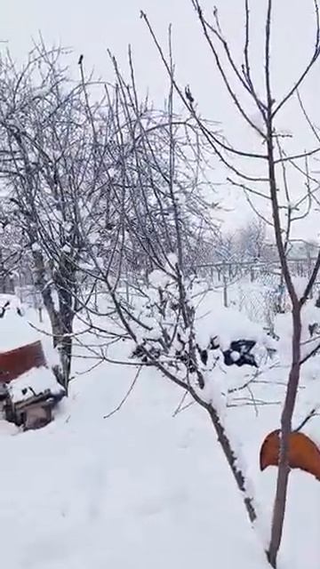 Вспомним зимушку зиму😀20 января 2026 г