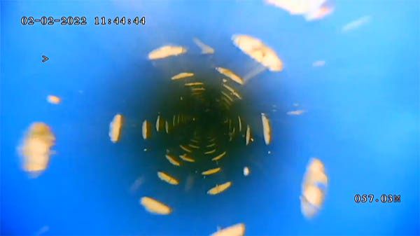 Системы телеинспекции скважин eVIT - тестовое видео_4