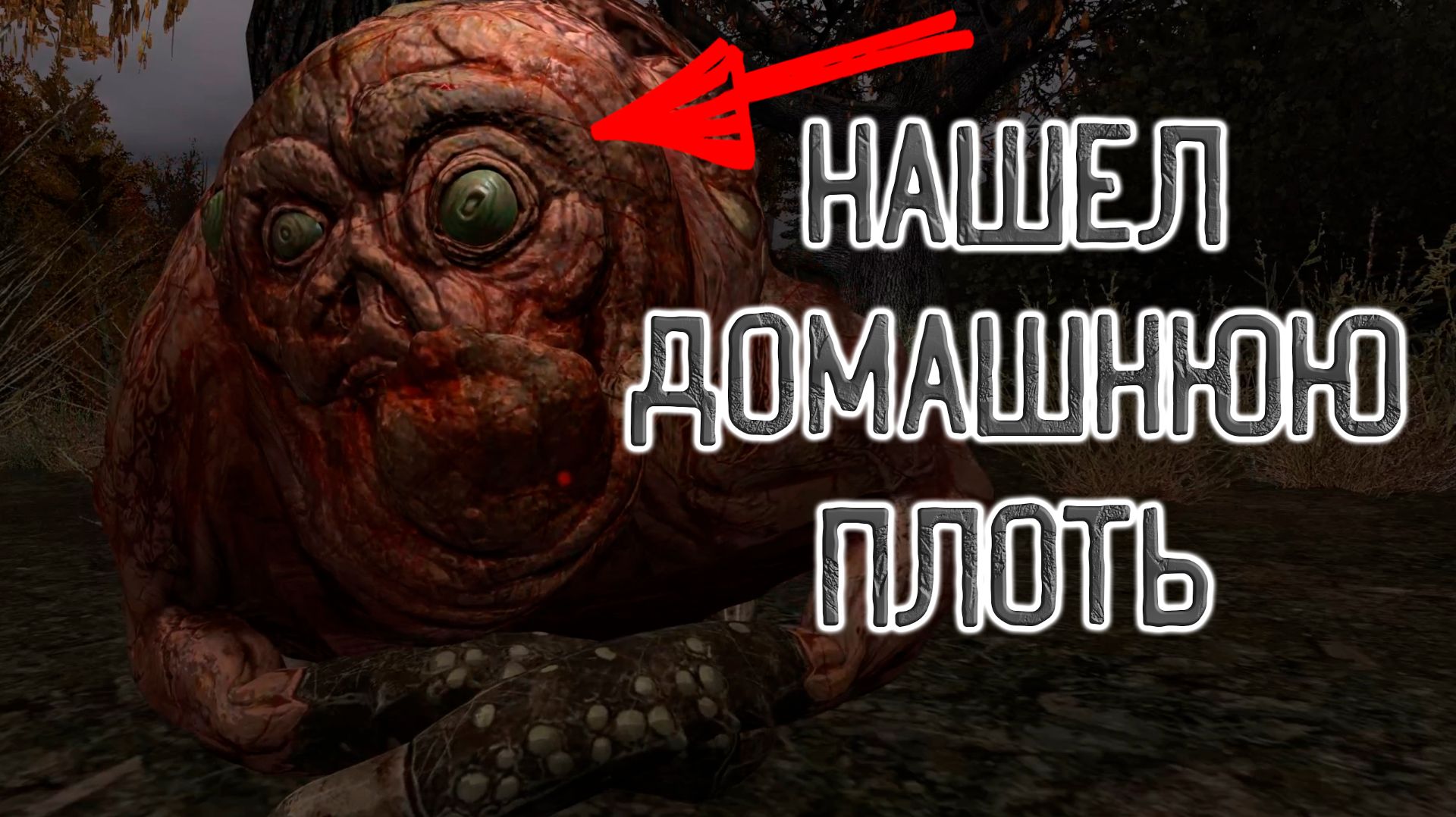 S.T.A.L.K.E.R. Прохождение первого мода #1 - Нашёл дружелюбную плоть, и первый артефакт