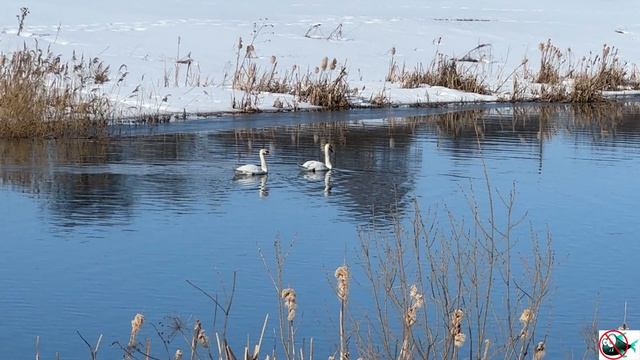 Открытие спиннингового сезона 14.03.2026 + кастинг 🎣☃️