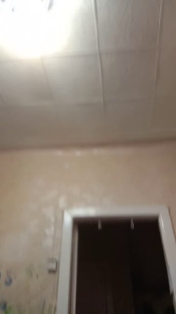 video_20260314_230352.mp4