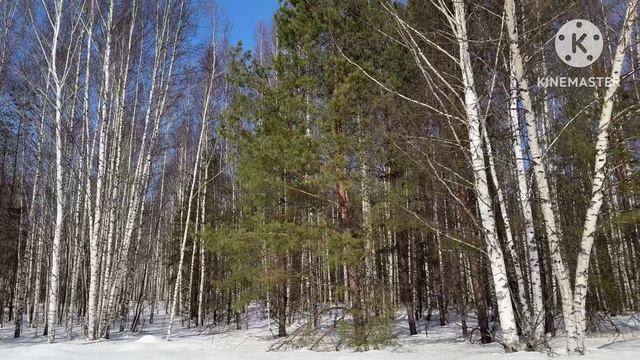 В деревне! 9-14 марта 2026 Пришла Весна!!!