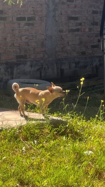 Лето близко