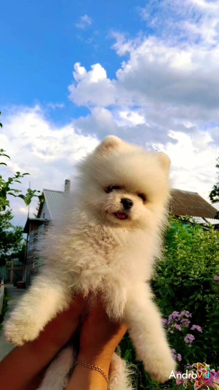 Весна! ❤️ Жаль, что Мигель, уже на облачке! 😢 14-03-2026