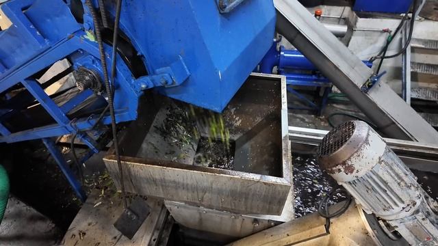 Сбор оливок в Португалии и производство домашнего оливкового масла _ (Дом в Португалии). Выпуск 41