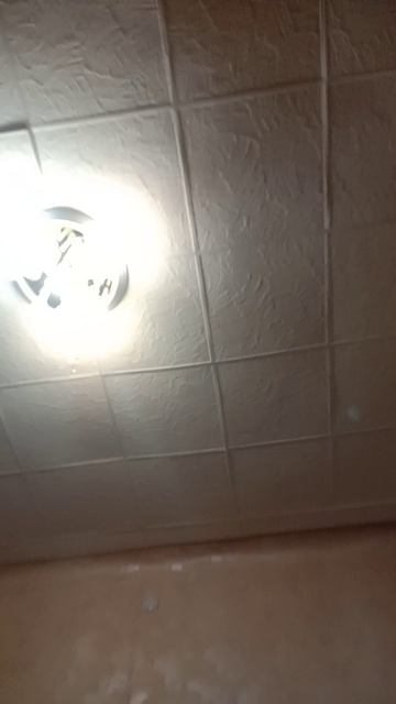 video_20260314_230312.mp4