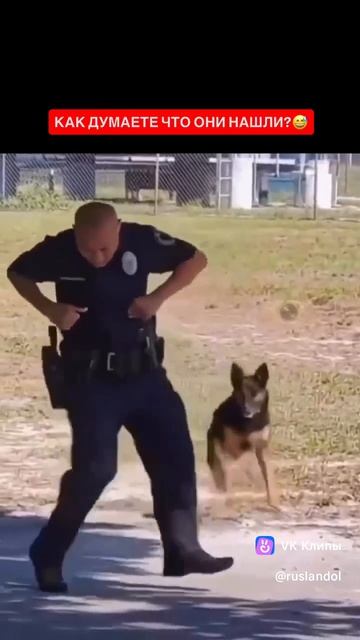 коп танецует с собакой