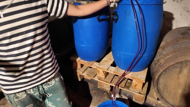 Первые заморозки в Португалии. Старинная печь и снятие вина с осадка _ (Дом в Португалии). Выпуск 43