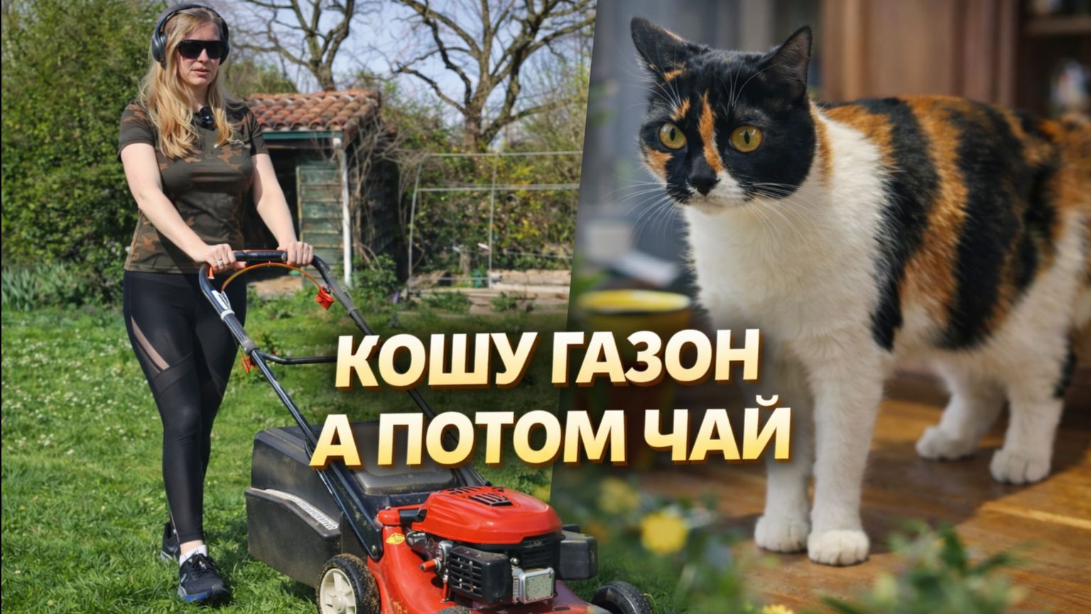 Покосила газон во Франции и зашла к соседке на чай. У неё целая банда кошек