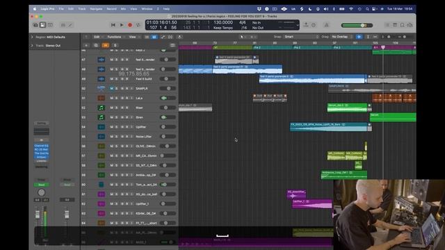 Parisi - track structure