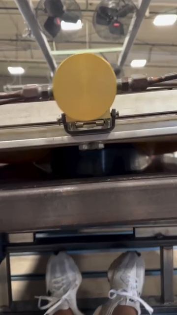 1891. Термоформовка