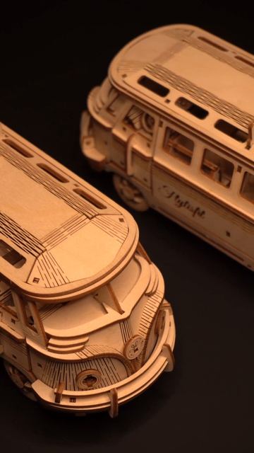 Шортс флайтисфил