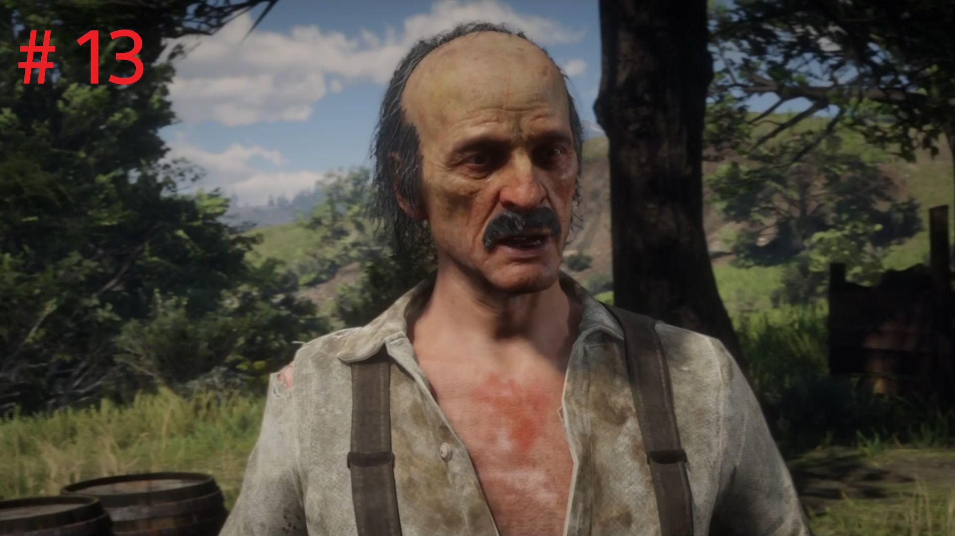 Red Dead Redemption 2 # 13