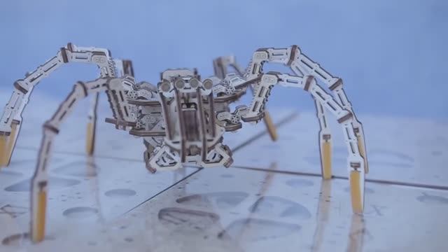 Космический Паук (Wood Trick)