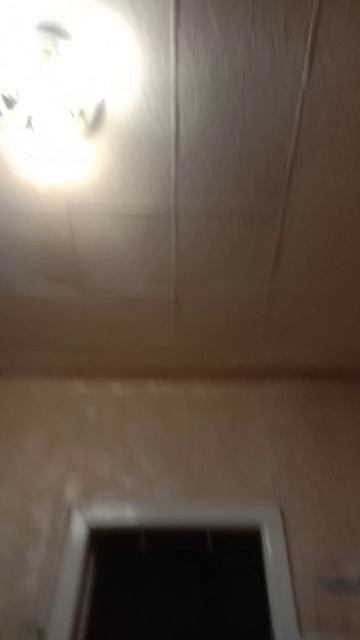 video_20260314_230330.mp4