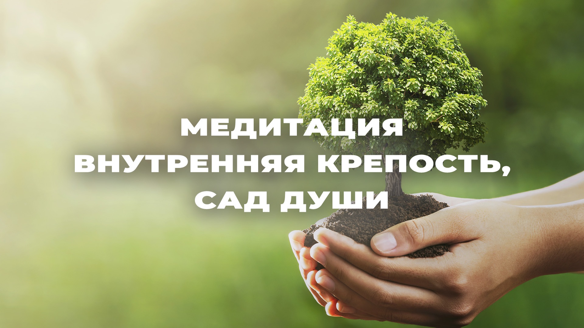 ИСКУССТВО МЕДИТАЦИИ - Внутренняя крепость, сад души