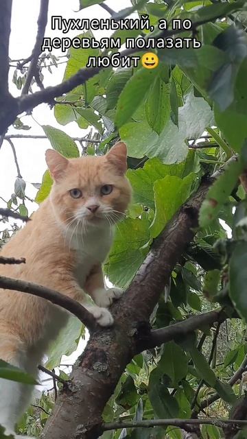 Животные.Сборник интересных моментов из жизни животных.Фильм9.Серия3.Часть3