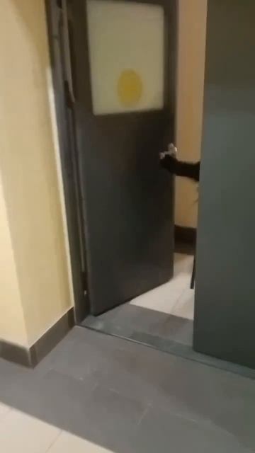 трейлер очень stranger things