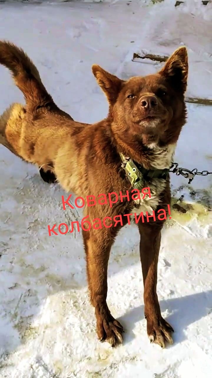 Не верьте соблазнителям!😋😂