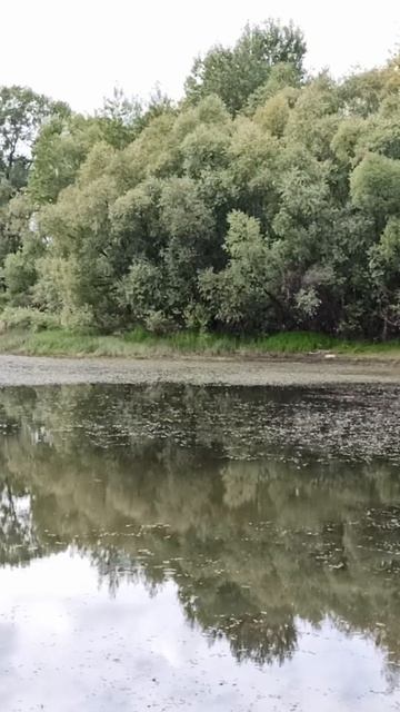 ПРОТОКА МАТВЕЕВСКАЯ