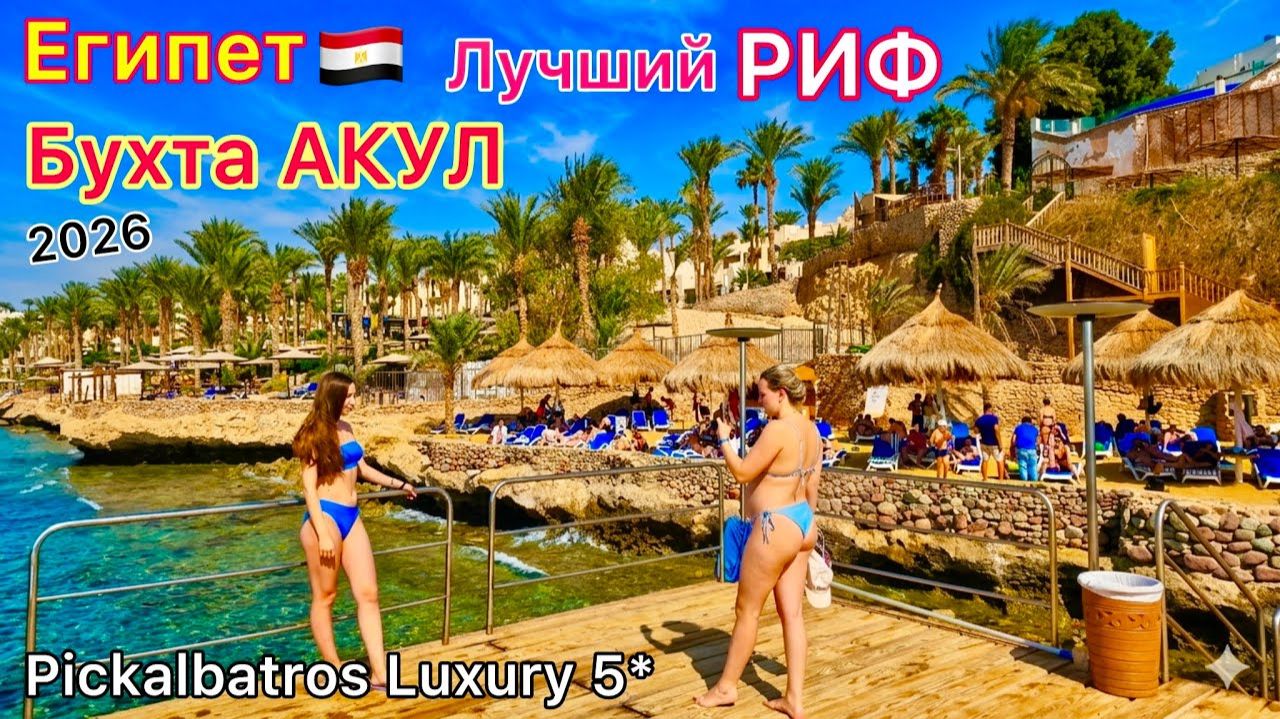 Самый КРАСИВЫЙ ПЛЯЖ в Египте но есть ПРОБЛЕМЫ! Люкс отель Pickalbatros Luxury Suites 5* БЕЗ ВЕТРА
