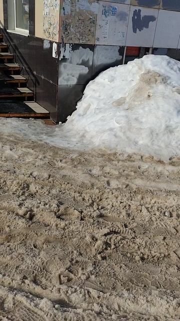 №1714 Двор Сибирская 73. 14 марта 2026 г., 12:13:24 VID_20260314_121253855