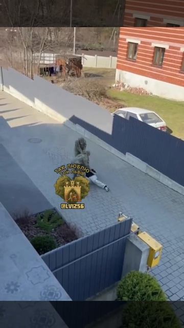 Львовские приключения ухилянтов.