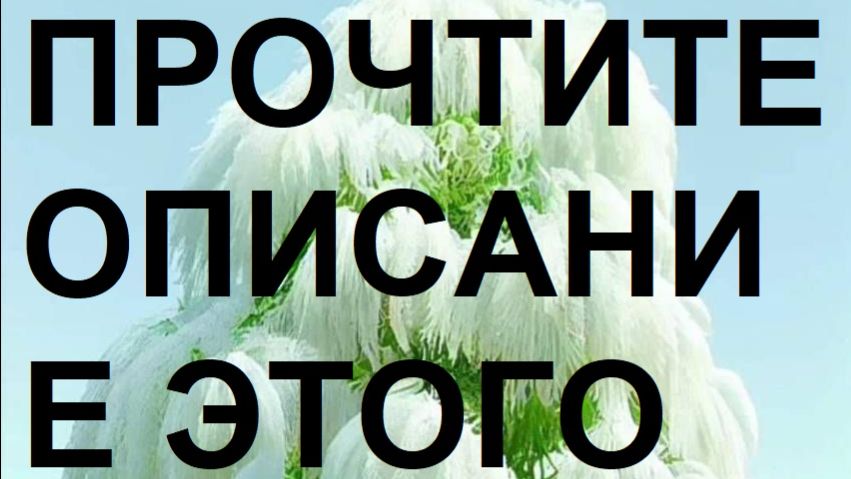 сюжет 2025, Москва, прочтите описание видео, адвокат, изучение английского языка, нужно обращайтесь