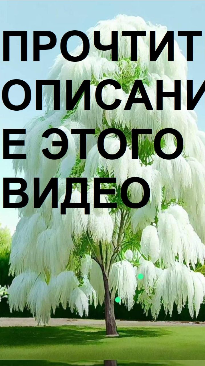 сюжет 2025, Москва, прочтите описание видео, адвокат, изучение английского языка, нужно обращайтесь