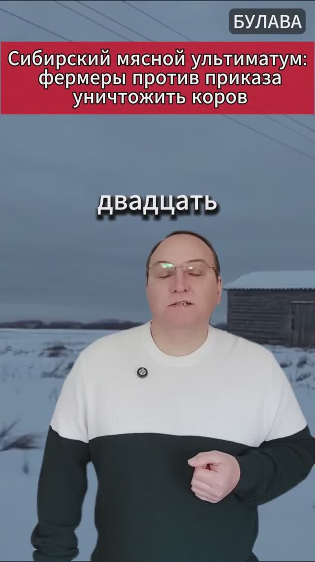 🔥 Сибирский мясной ультиматум фермеры против приказа уничтожить коров