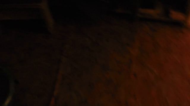 В.Железов. Снижаю цены на 50% на сухие косточки персиков.