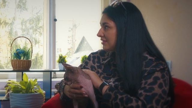 02 факт сфинкс