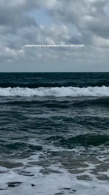 Побережье моря с чайками