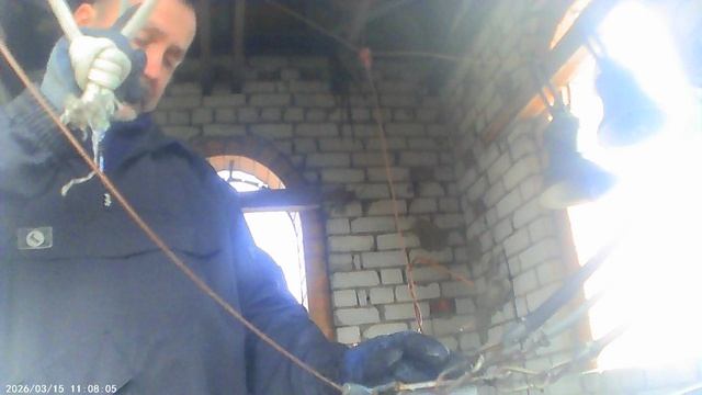 Трезвон по окончании Воскресной Божественной Литургии 15 марта 2026