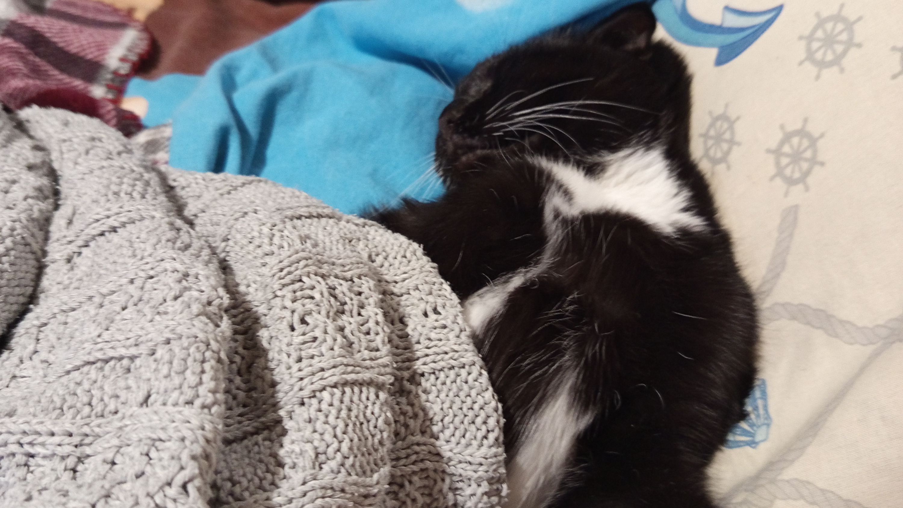 Жорик по кличке Джек третья серия