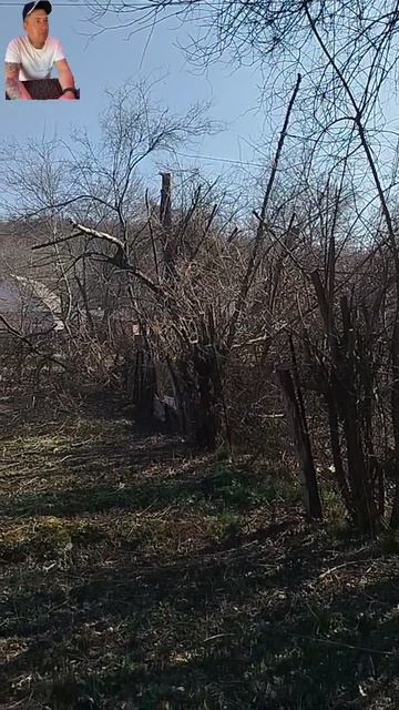 Уборка после зимы