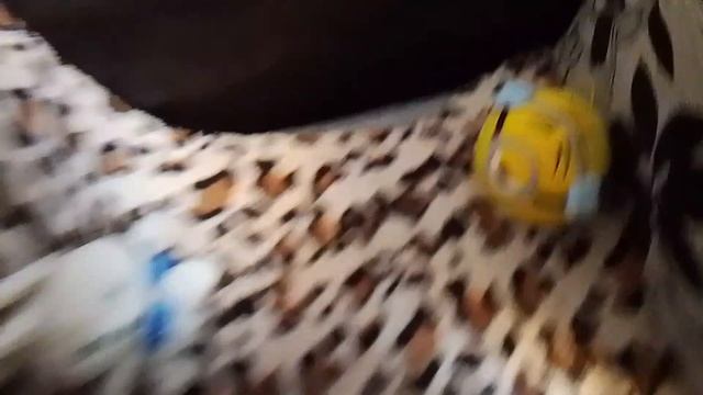 История Олимпийца и Радужнова/ короткометражки миньоны в школе