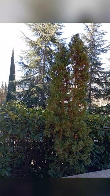 Март 2024_ лучшие моменты