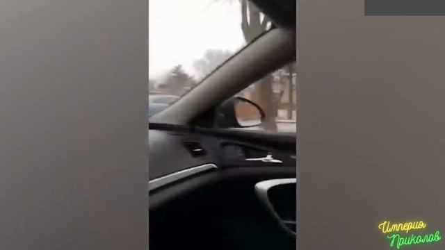 Сборник №87. Курьёзные и прикольные моменты из обычной жизни!