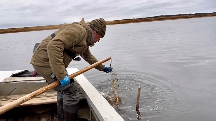 Рыбалка на фитиль и сети. Охота на утку.
