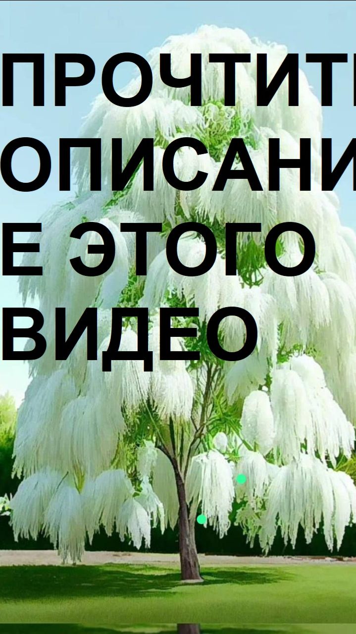 сюжет 2025, Москва, прочтите описание видео, адвокат, изучение английского языка, нужно обращайтесь