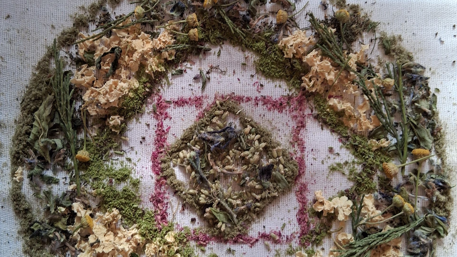 Мастер-класс по созданию мандалы из трав.