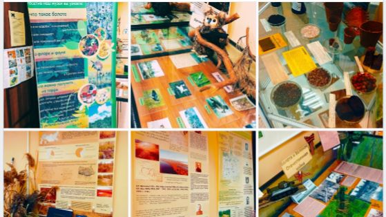 Музей торфа ТГПУ и Болотоведение