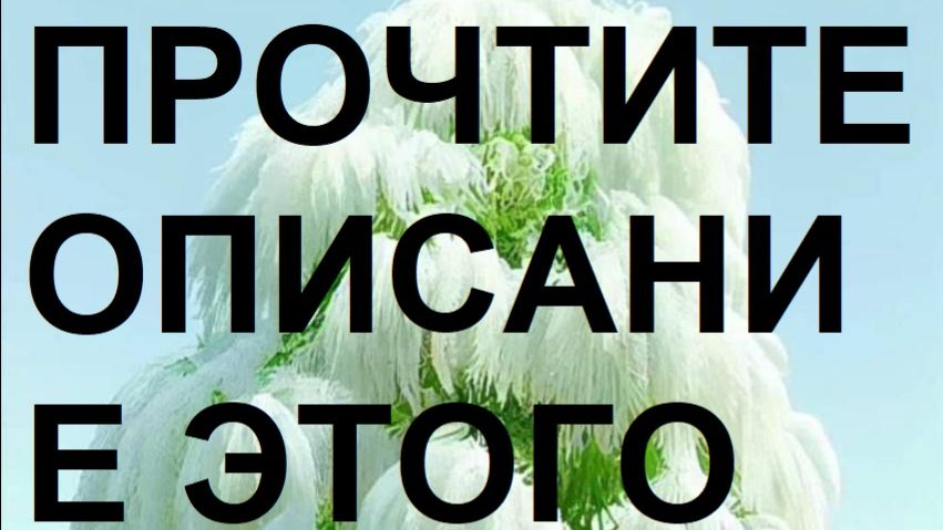 Музыка, гусли, #music , show must go on , до, ре, ми, прочтите описание к этому видео