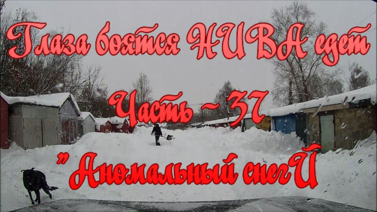 Глаза боятся НИВА едет. Часть - 37. "Аномальный снег".