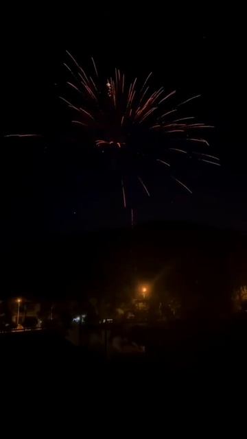 SB125 Цветастый 100_1