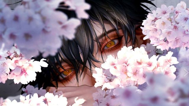 Весна  с собою увела ....