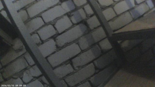 Фигурный трезвон к Евангелию на Божественной Литургии 15 марта 2026